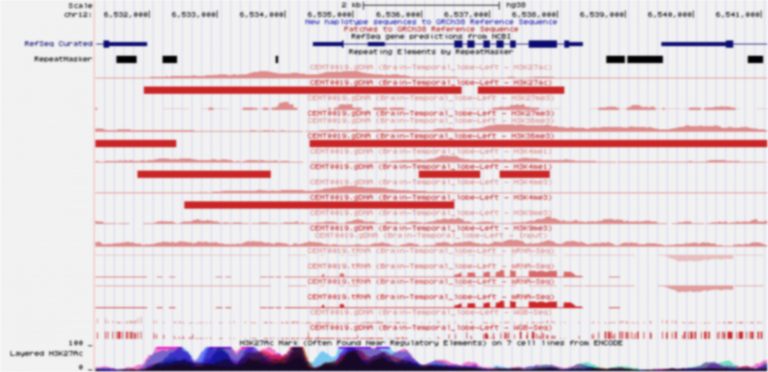 Center for Epigenomics Research – Center for Epigenomics Research | HKUST